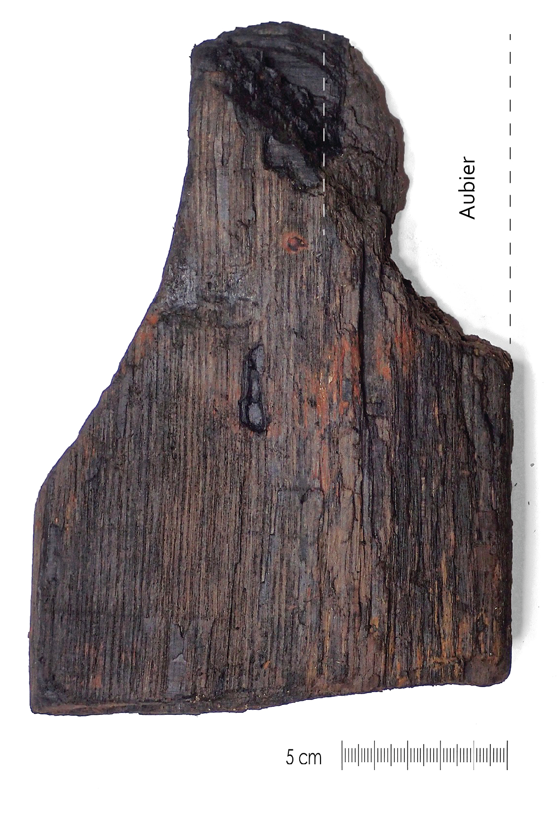 puits et bois laténiens – Didier Pousset